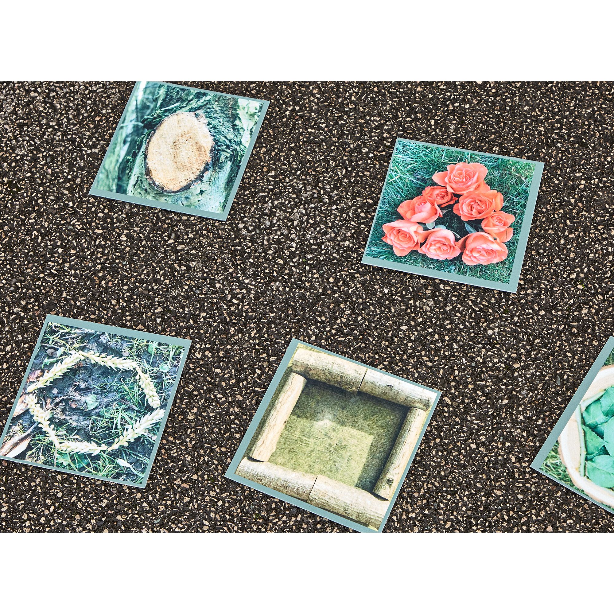 Nature Shape Tiles | Eduspace Supplies