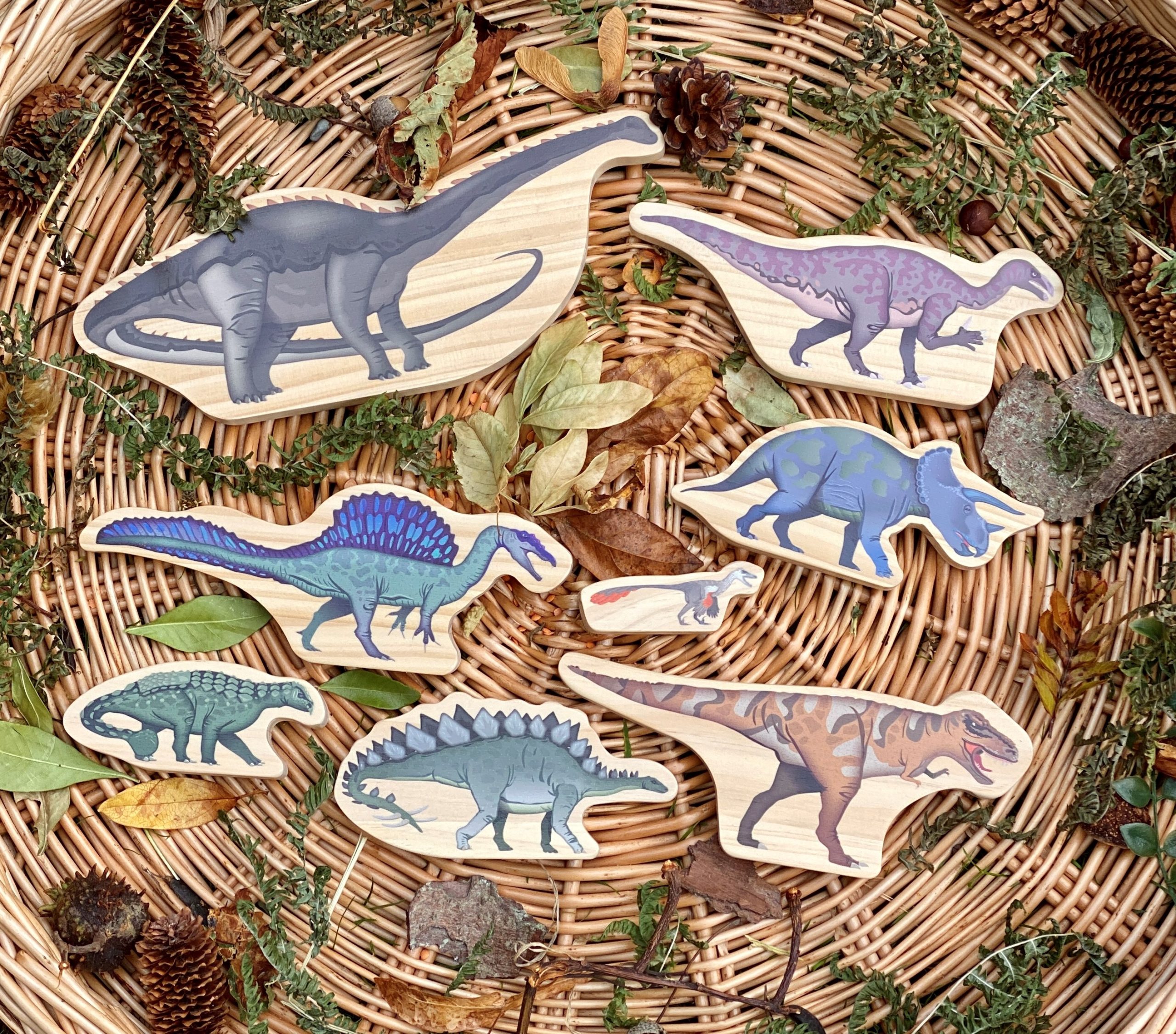 Wooden Dinosaur Set | Learning Space Solutions