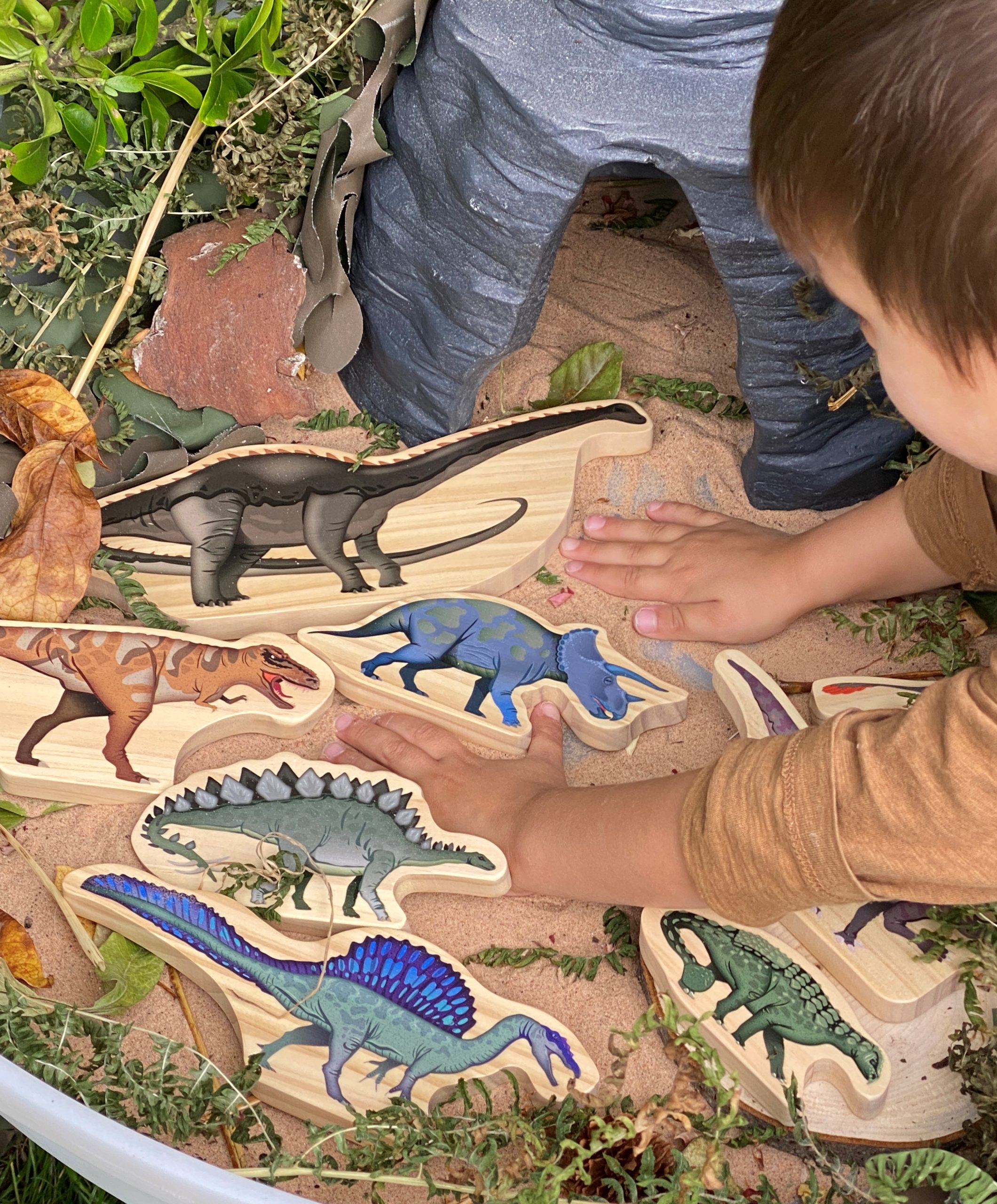 Wooden Dinosaur Set | Learning Space Solutions