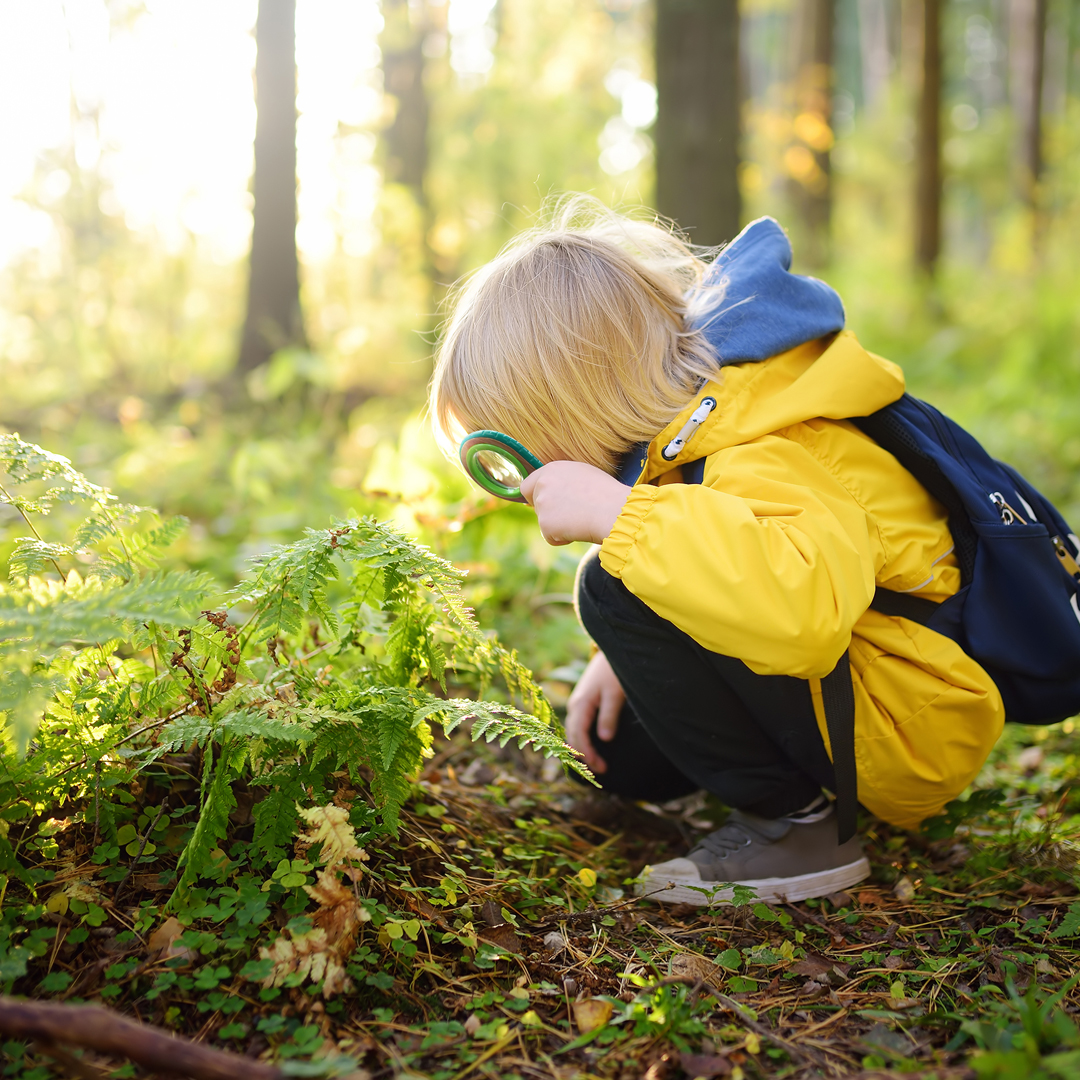 Nature Detective Set | Eduspace Supplies