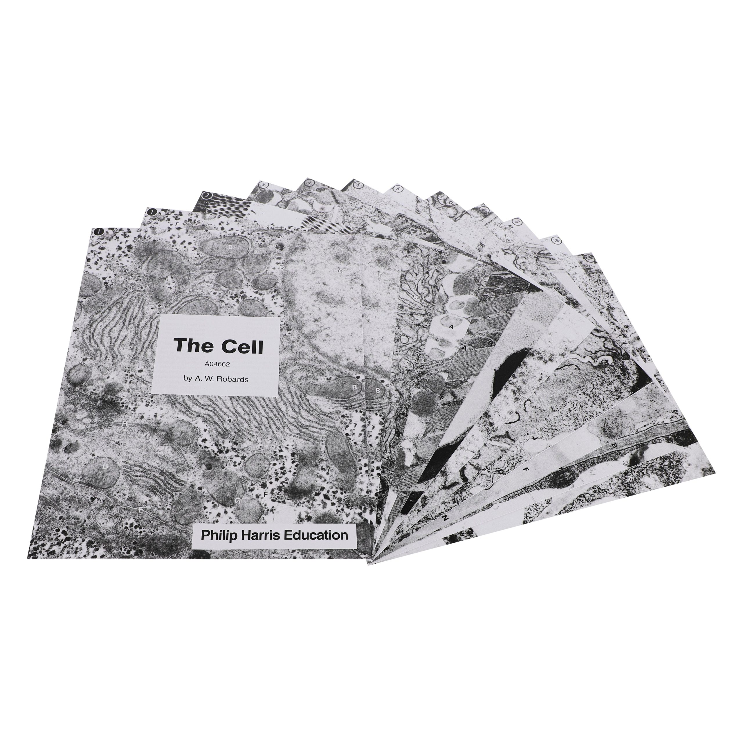 Cell Print Set | Eduspace Supplies