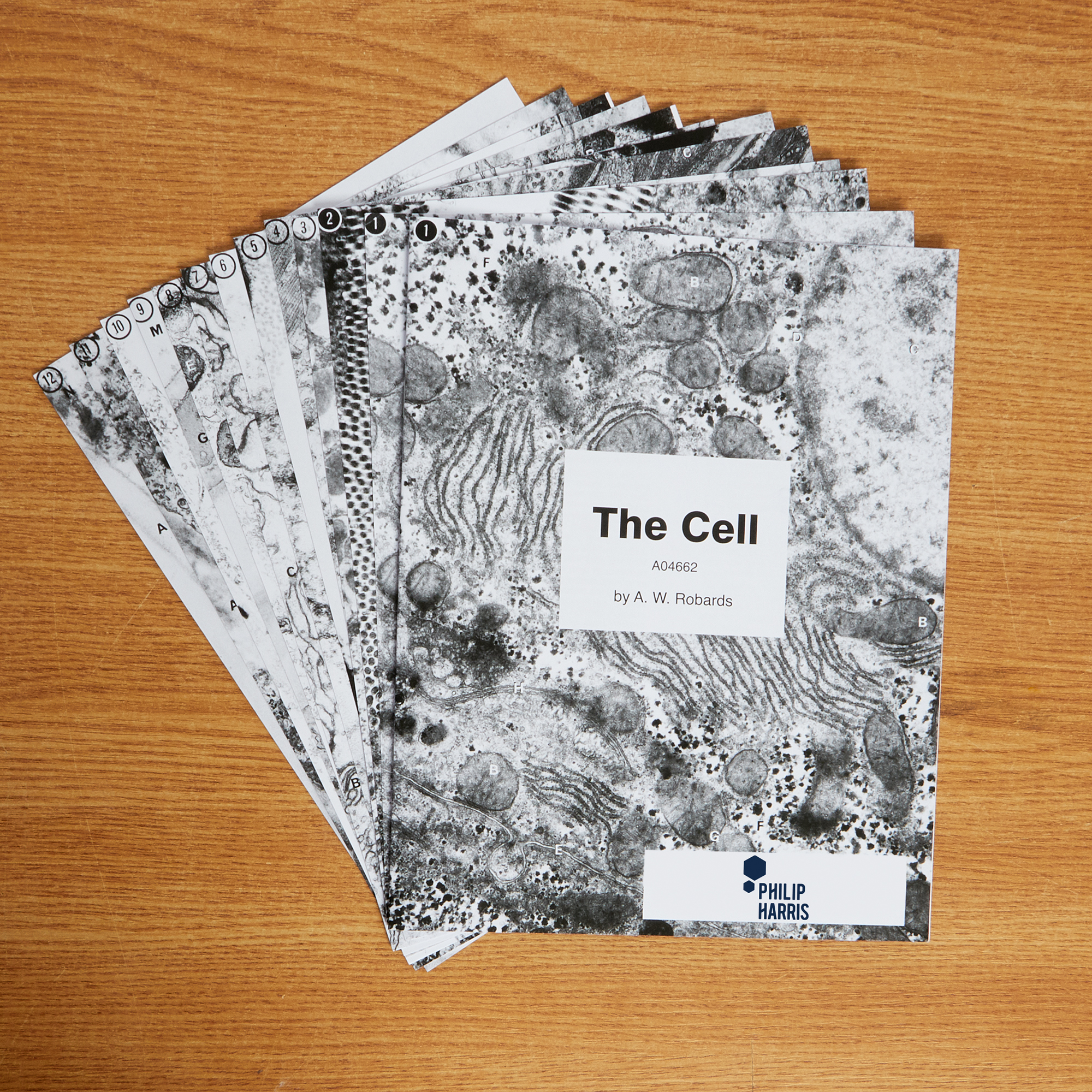 Cell Print Set | Eduspace Supplies