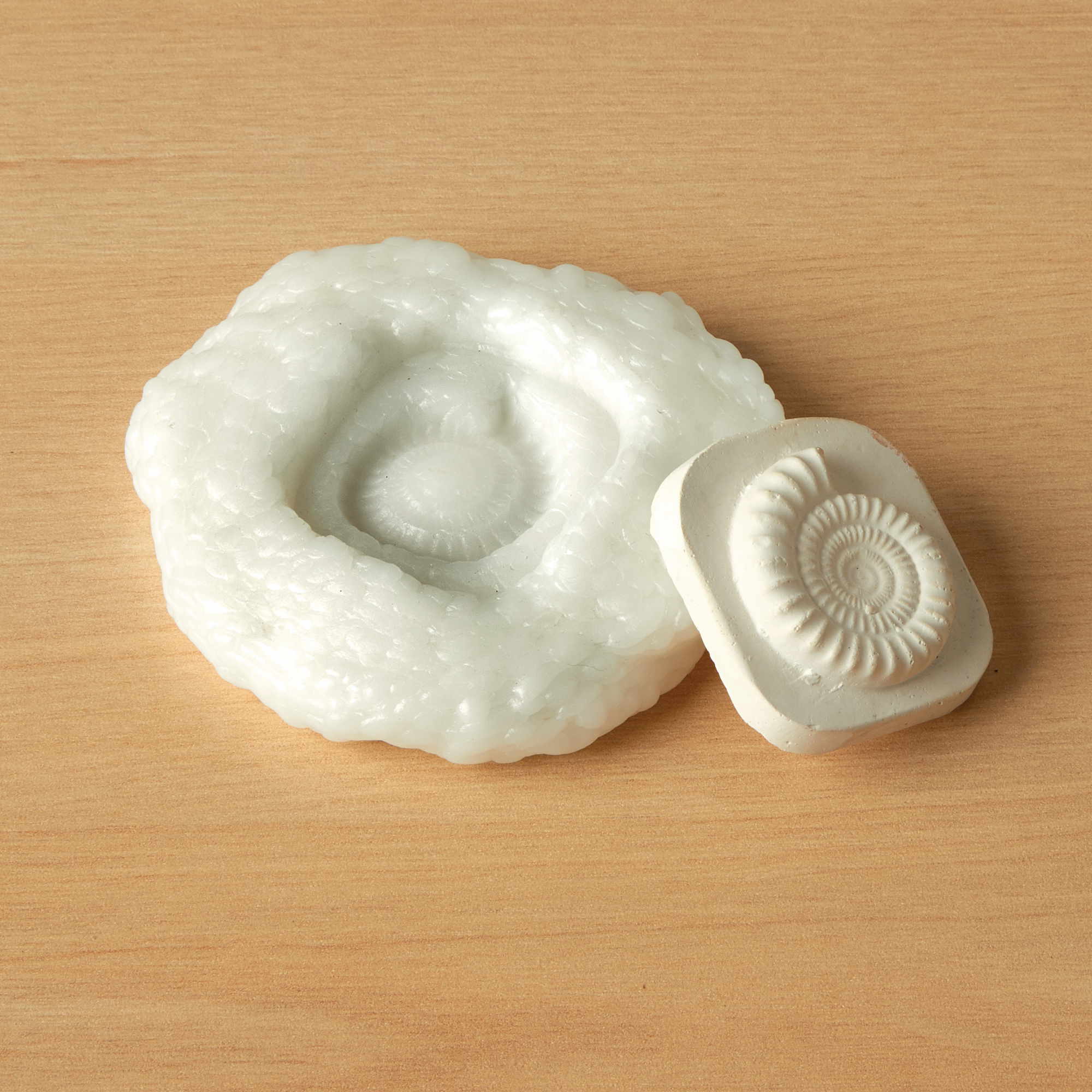Polymorph – Malleable Smart Polymer | Eduspace Supplies