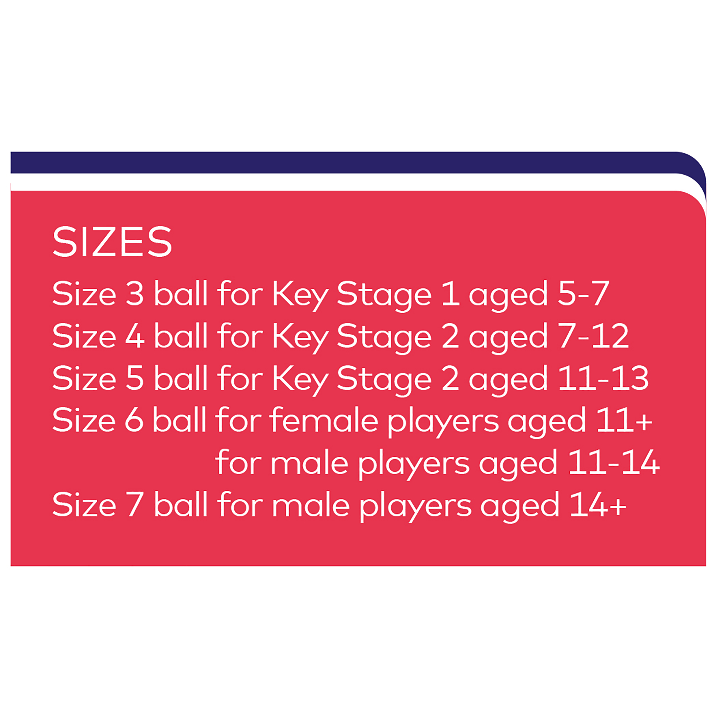 Molten Bg3800 Basketball Size 5 Tan | Eduspace Supplies
