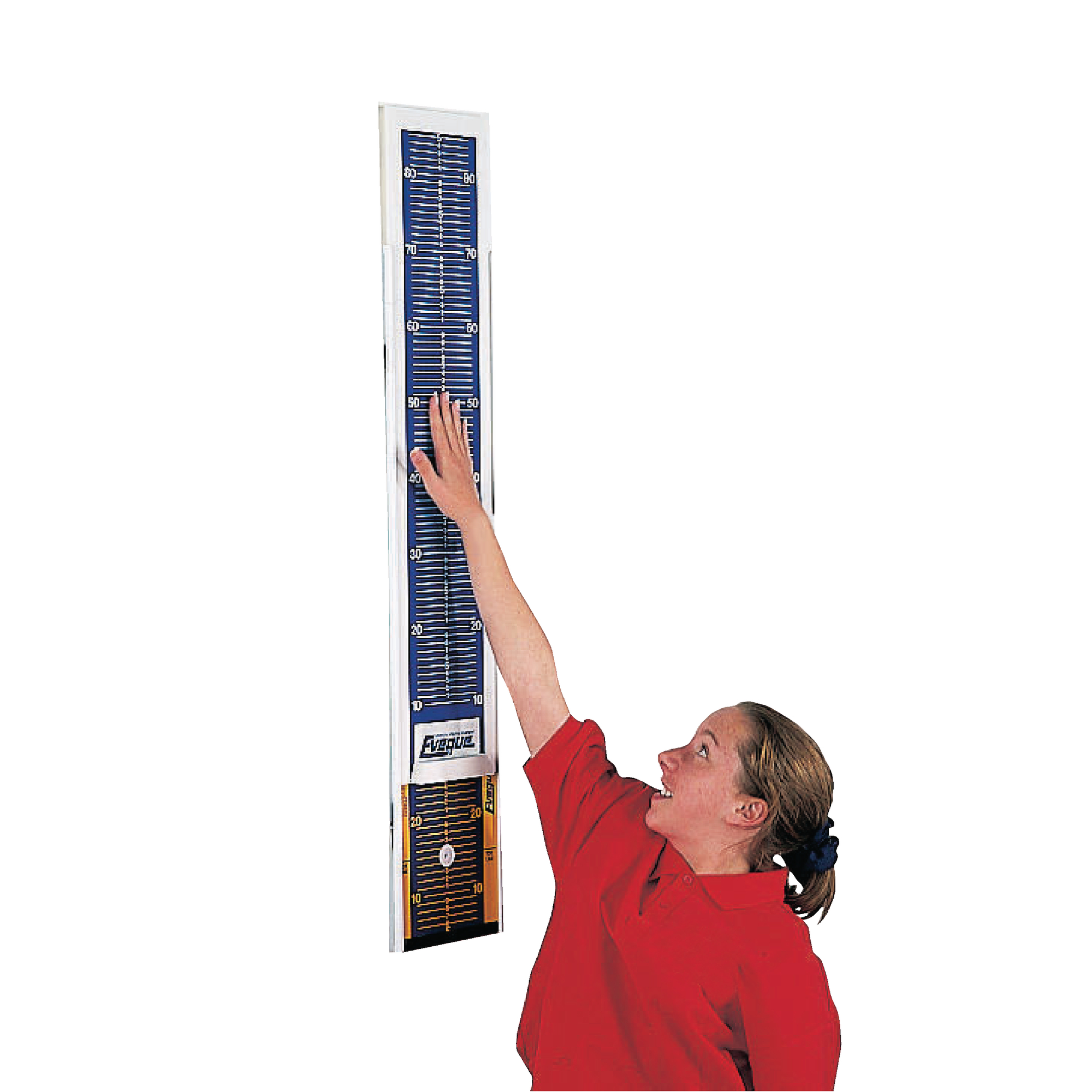 Junior Vertical Jump With Sit And Reach | Eduspace Supplies