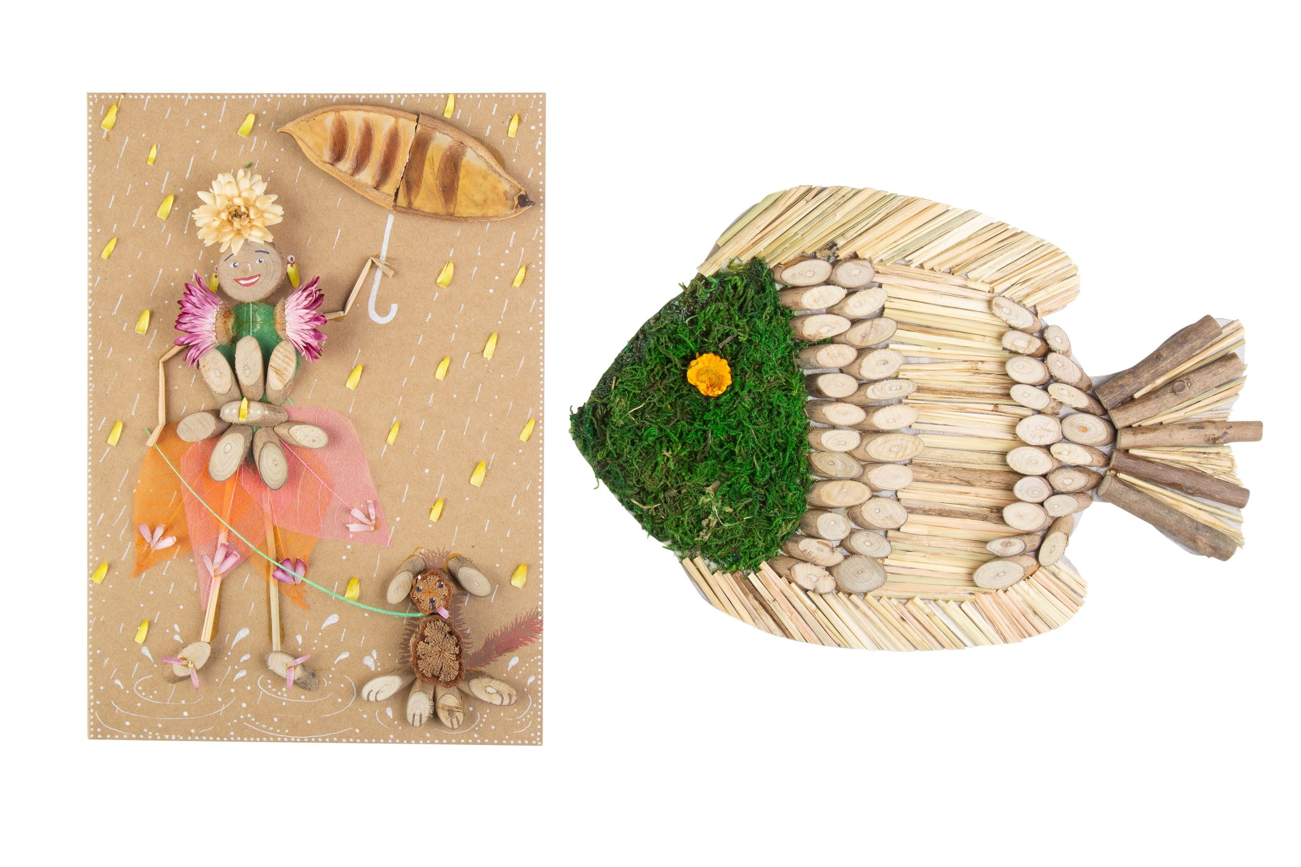 Natural Craft and Collage Materials | Eduspace Supplies