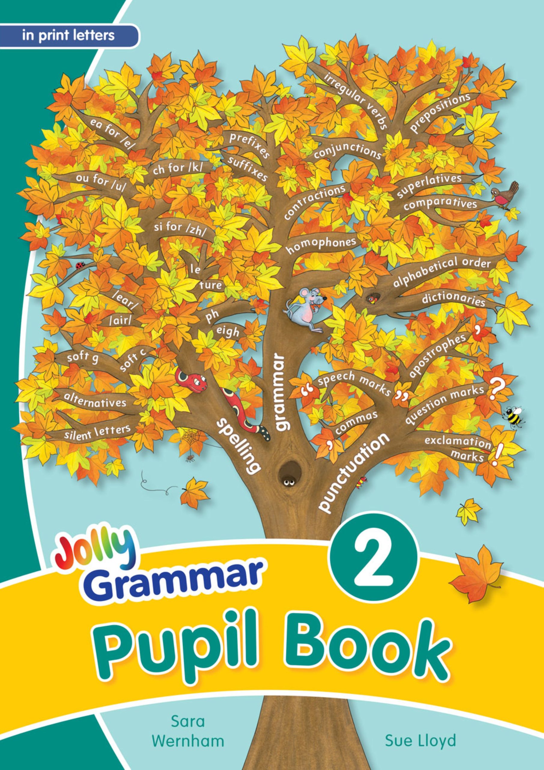 Grammar Pupil Books 2 | Learning Space Solutions