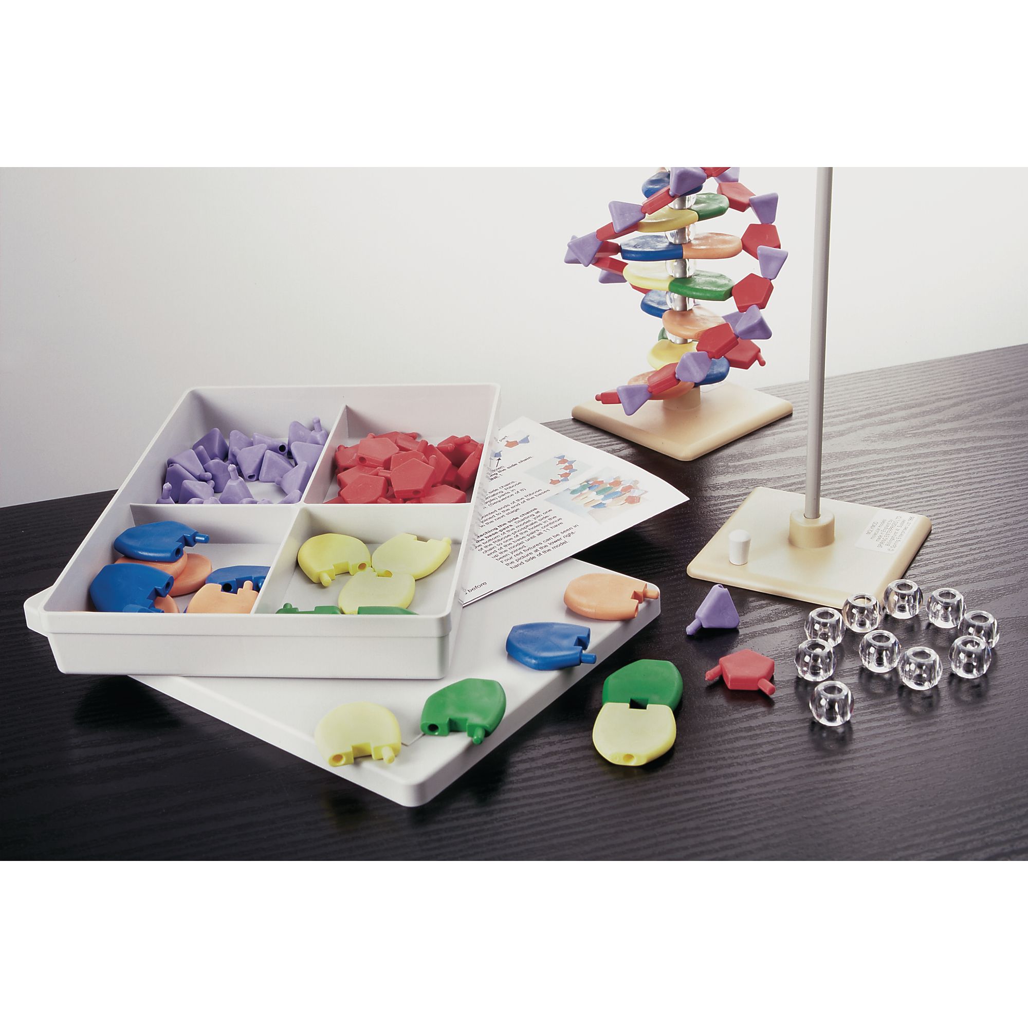 Mini Dna 12 Layer Molecular Model Kit | Eduspace Supplies