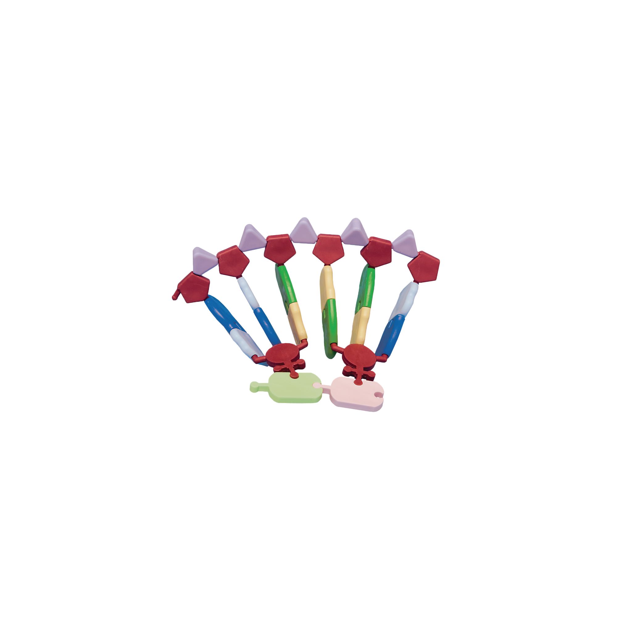 12-base Protein Synthesis Kit | Eduspace Supplies