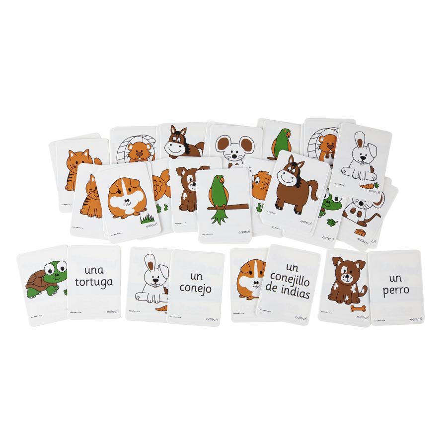 Animal Snap Spanish | Learning Space Solutions