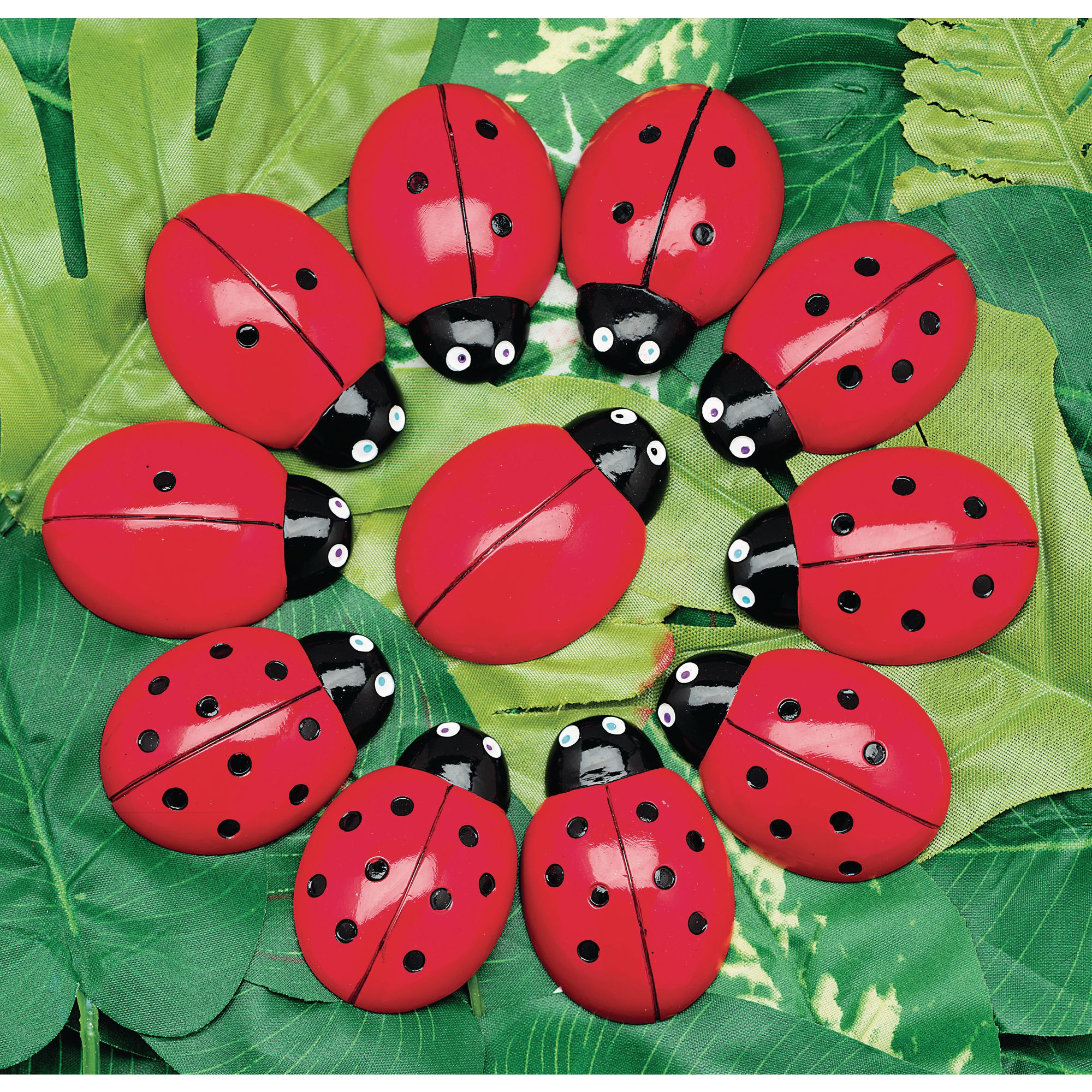Ladybugs Counting Set | Learning Space Solutions