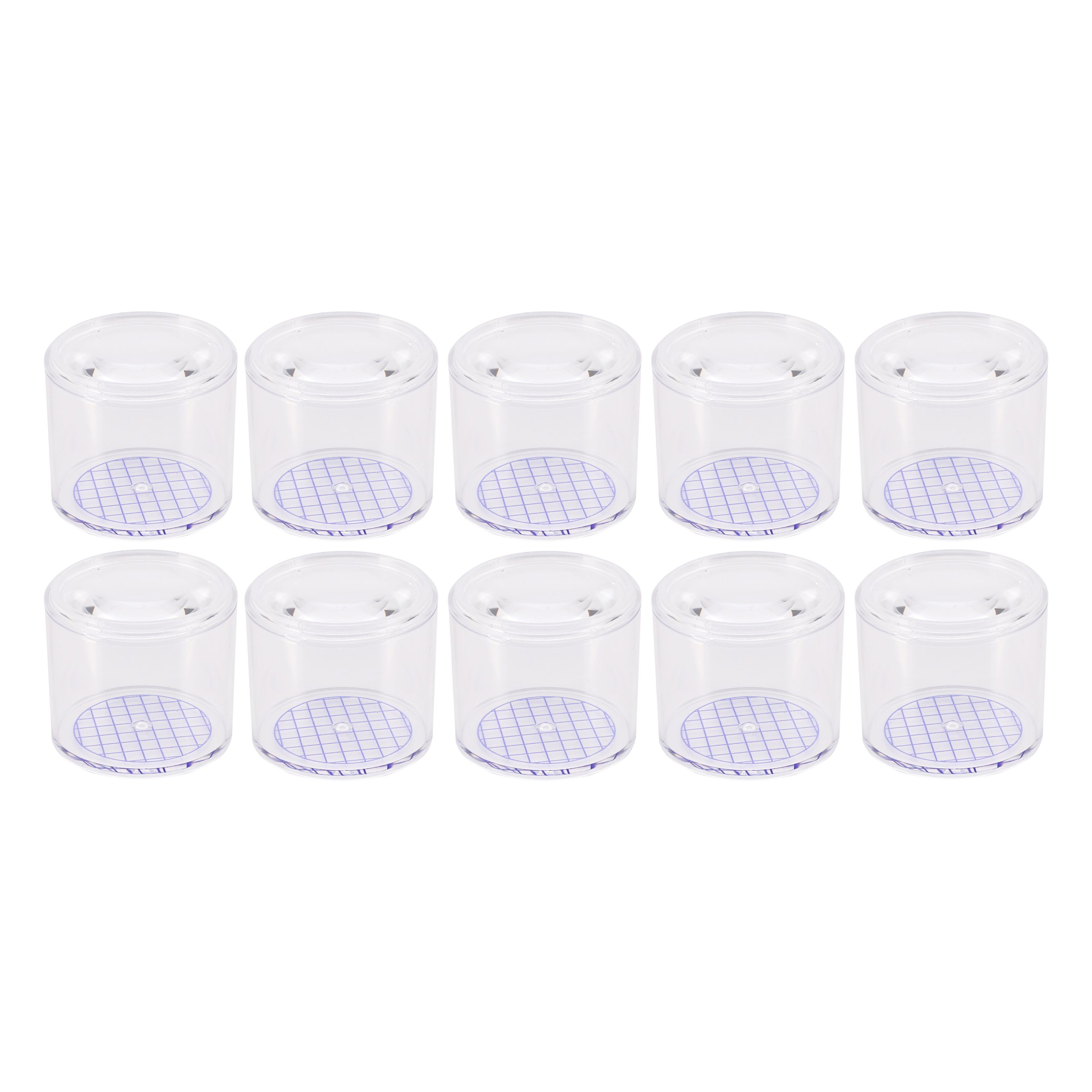 Bug Pots | Eduspace Supplies