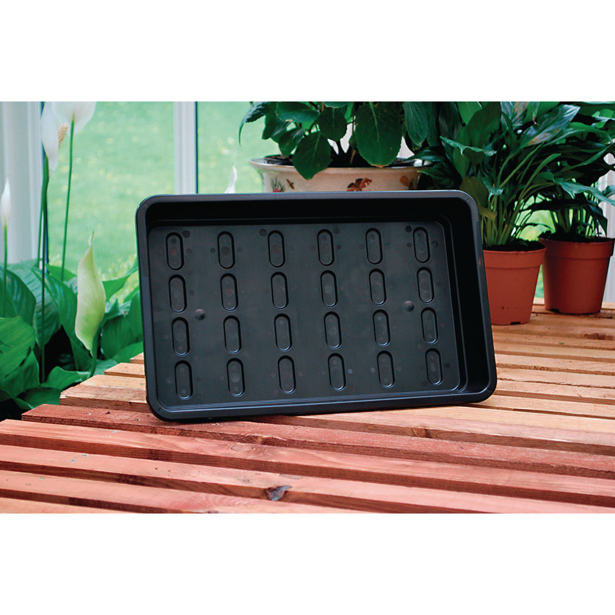 Standard Seed Tray | Learning Space Solutions