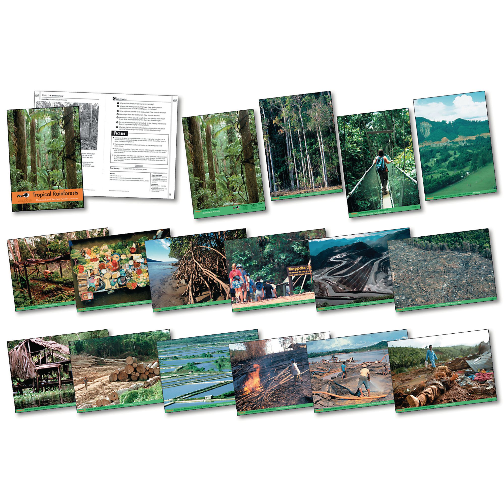 Tropical Rainforest Photopack | Eduspace Supplies