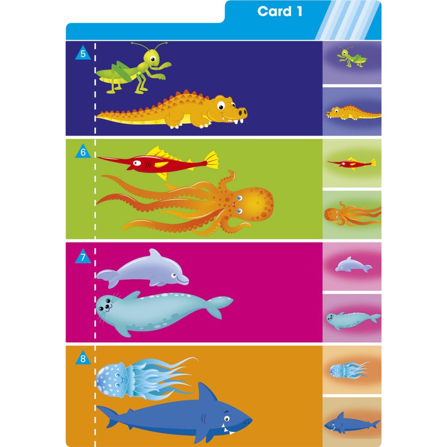 The Maths Box – Early Years | Eduspace Supplies