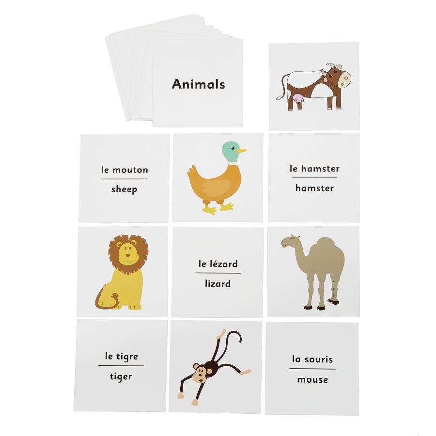 French Dice Cards – Animals | Eduspace Supplies