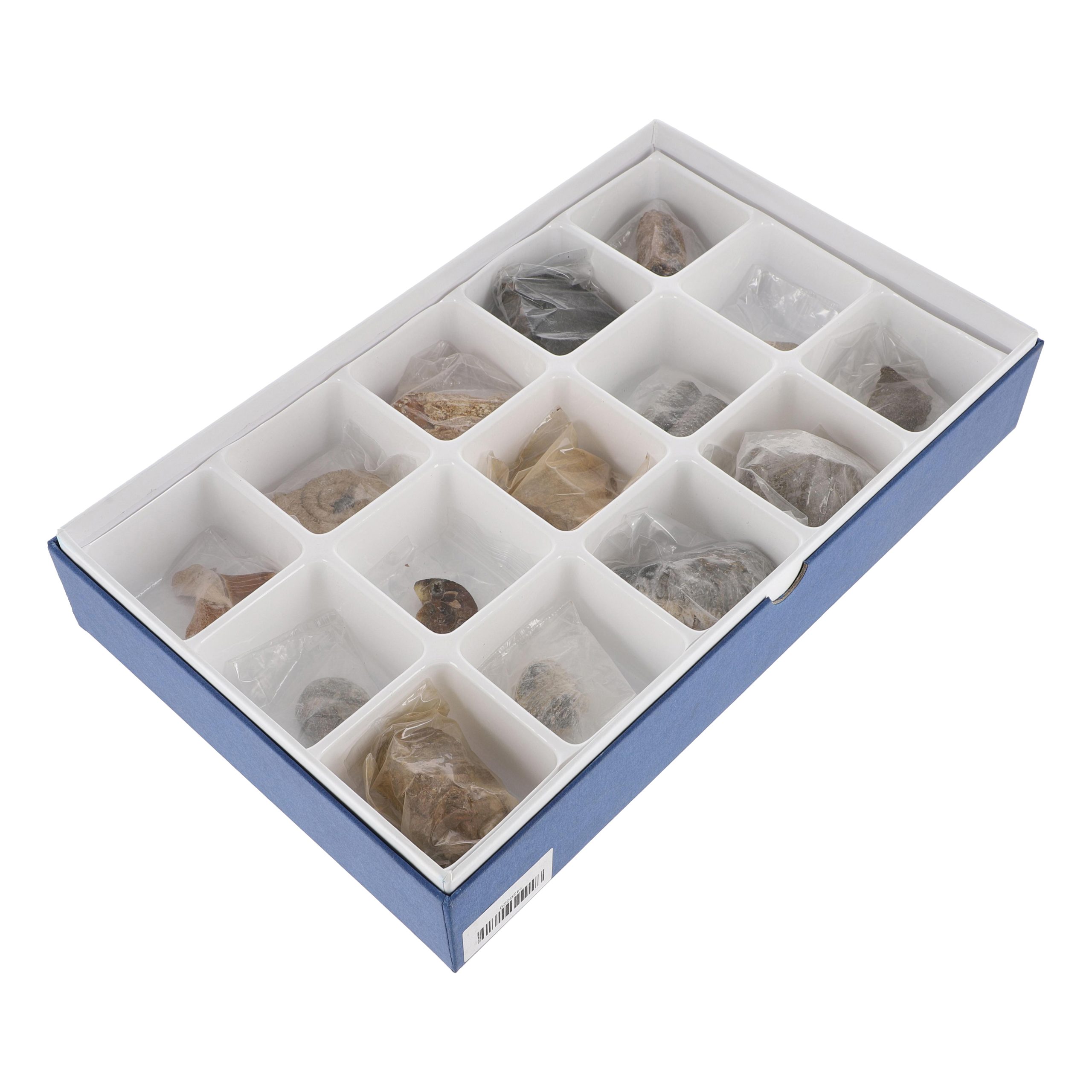 15 Specimen Fossil Set | Eduspace Supplies
