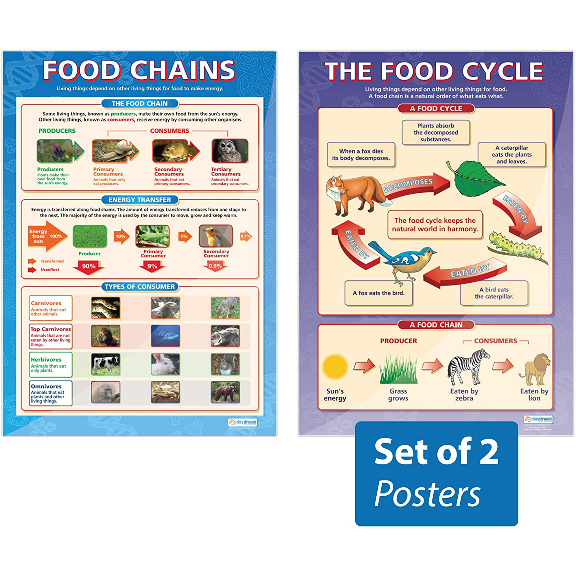 The Food Cycle Food Chains Posters | Eduspace Supplies