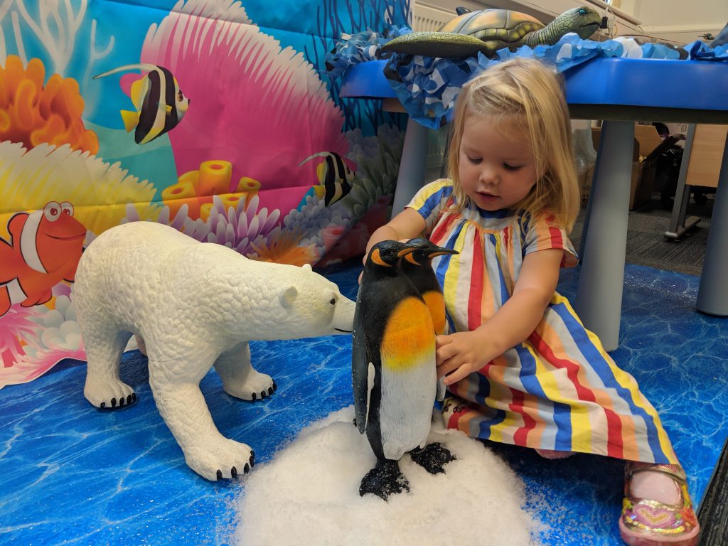 Jumbo Arctic Animals | Eduspace Supplies