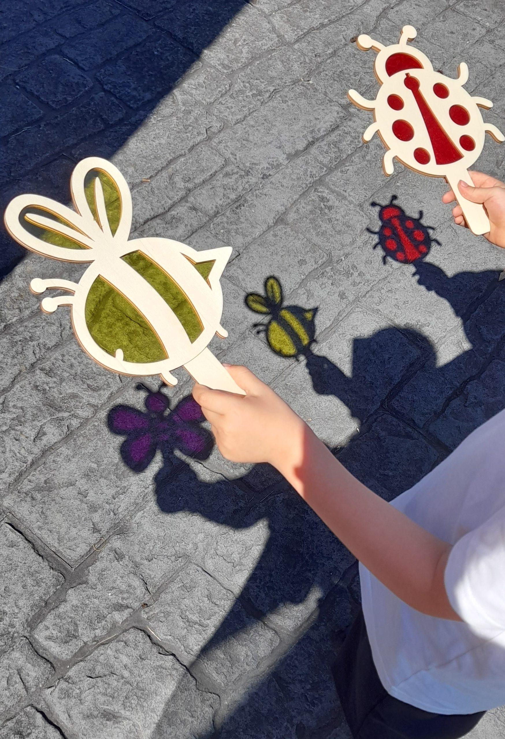 Light and Shadow Creators Offer | Eduspace Supplies
