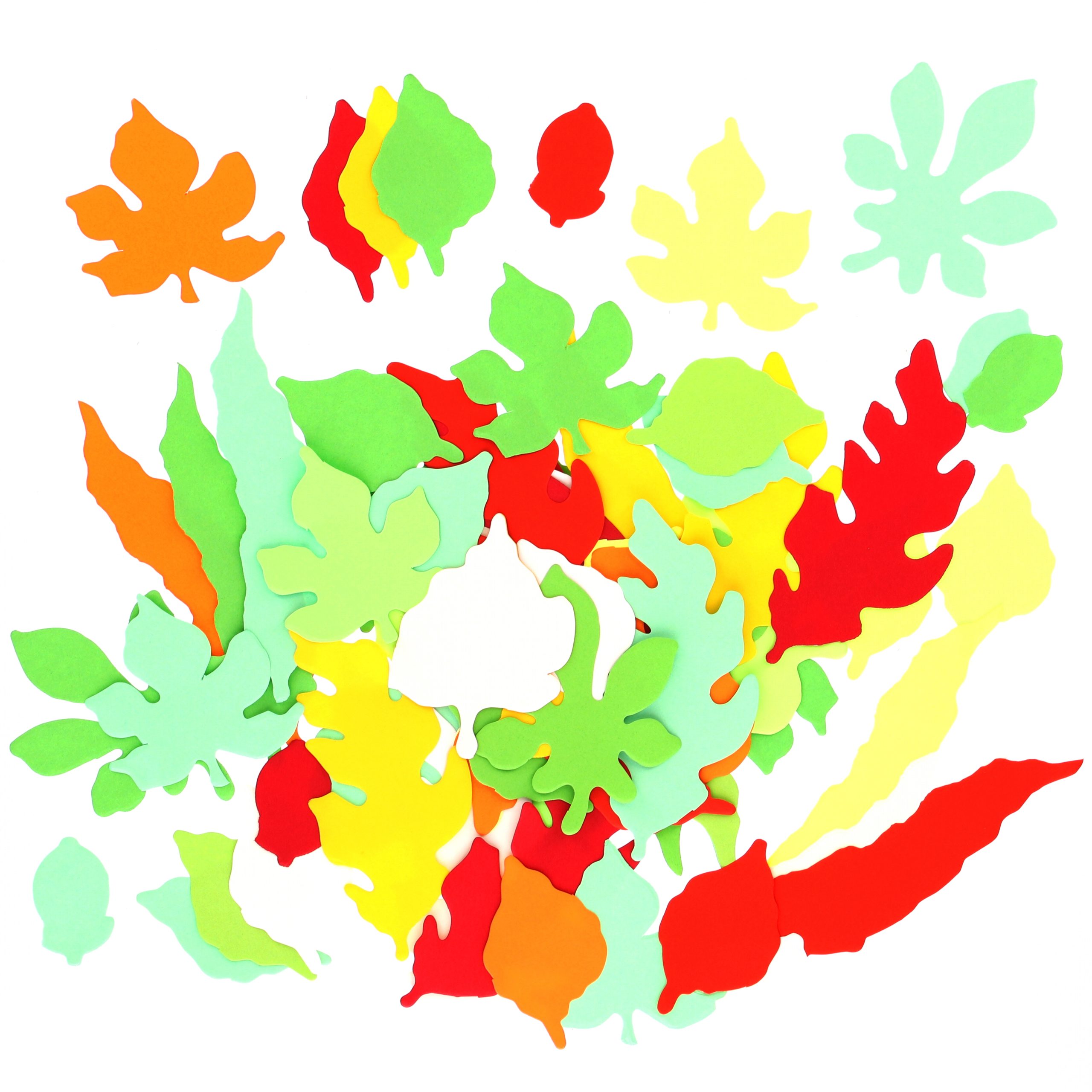 Seasonal Paper Leaves | Eduspace Supplies
