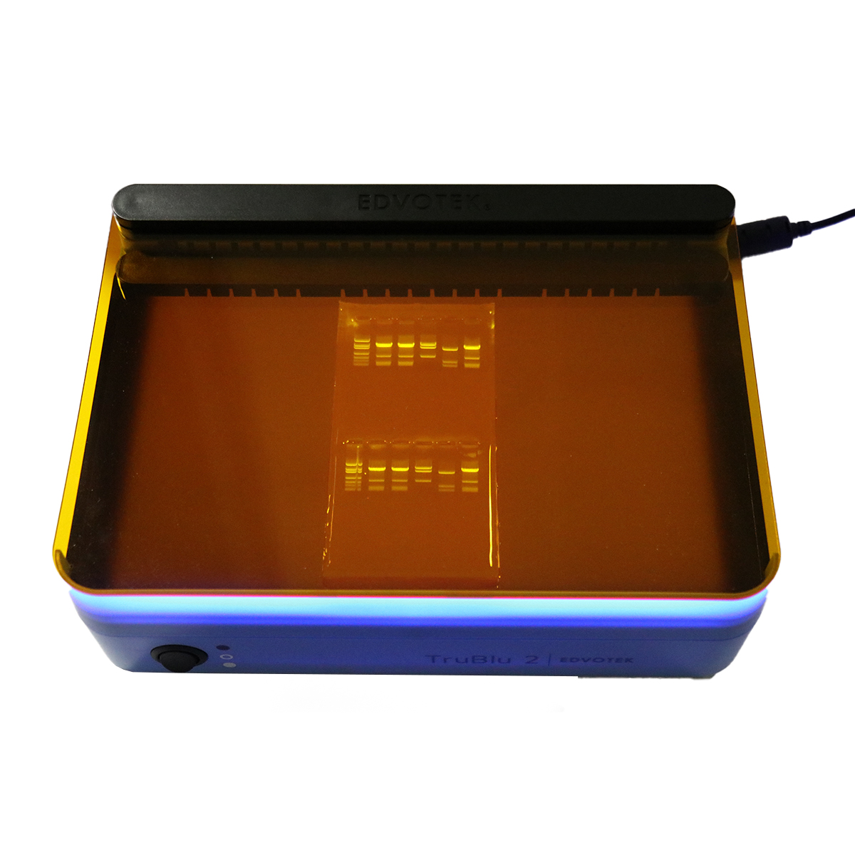 SYBR Safe Stain | Eduspace Supplies