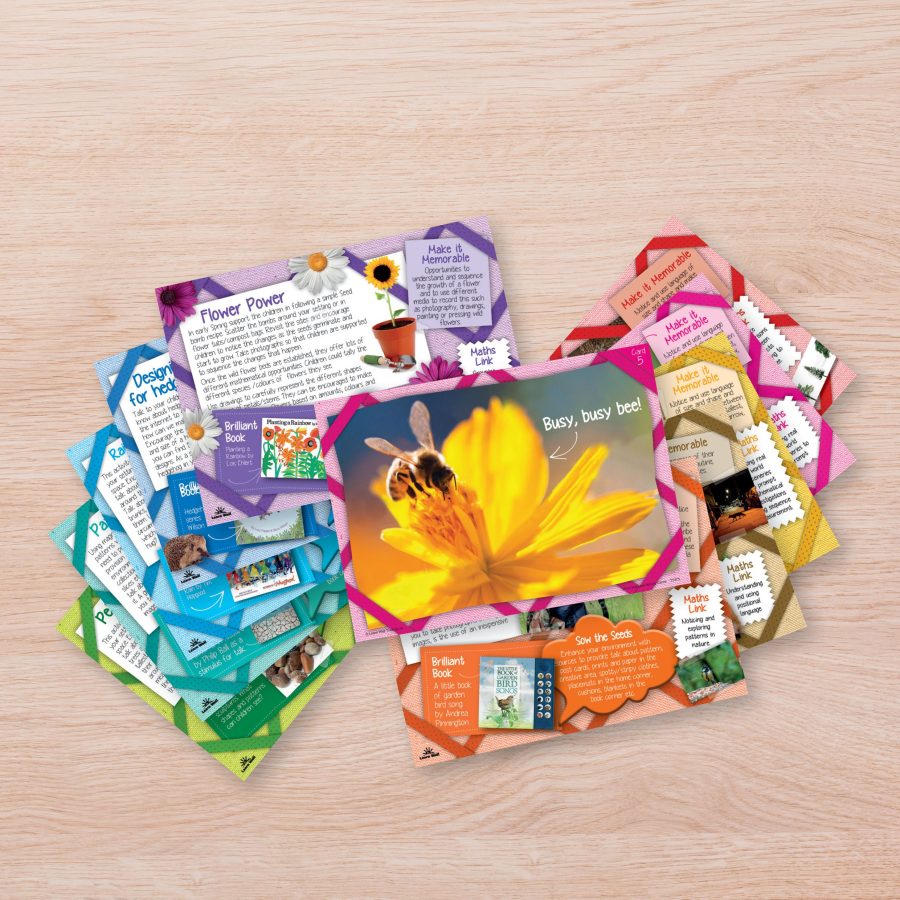 Maths in Nature Activity Cards | Eduspace Supplies