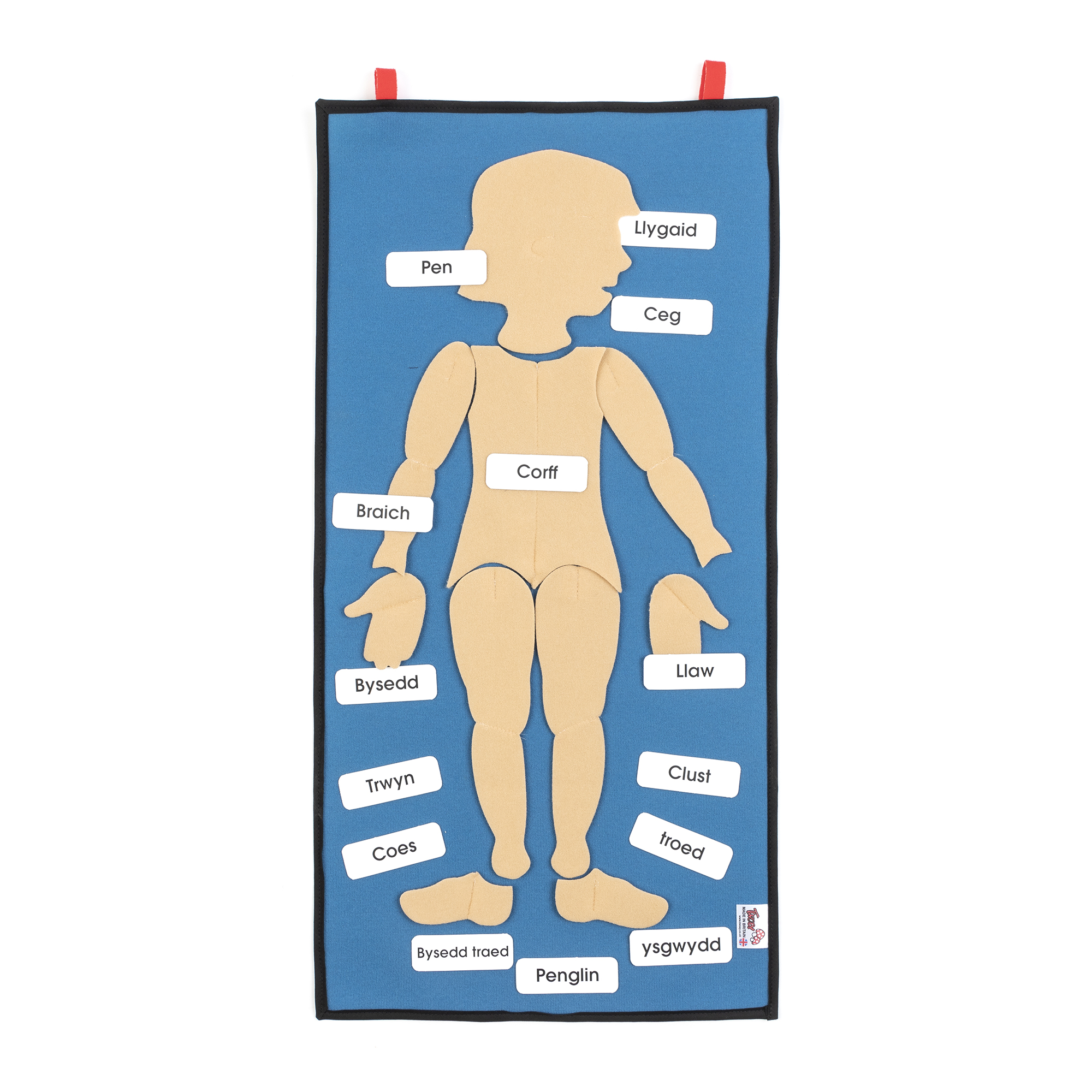 My Body Welsh | Eduspace Supplies