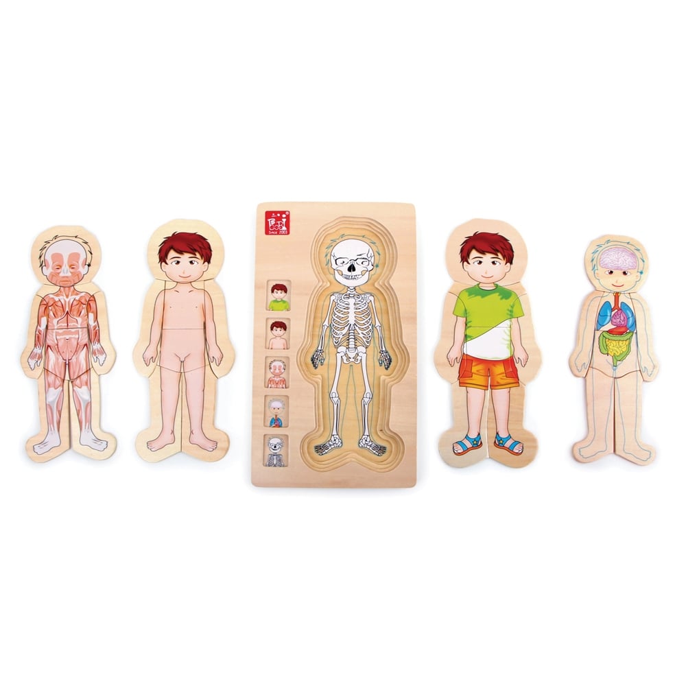 Layered Body Jigsaw | Eduspace Supplies