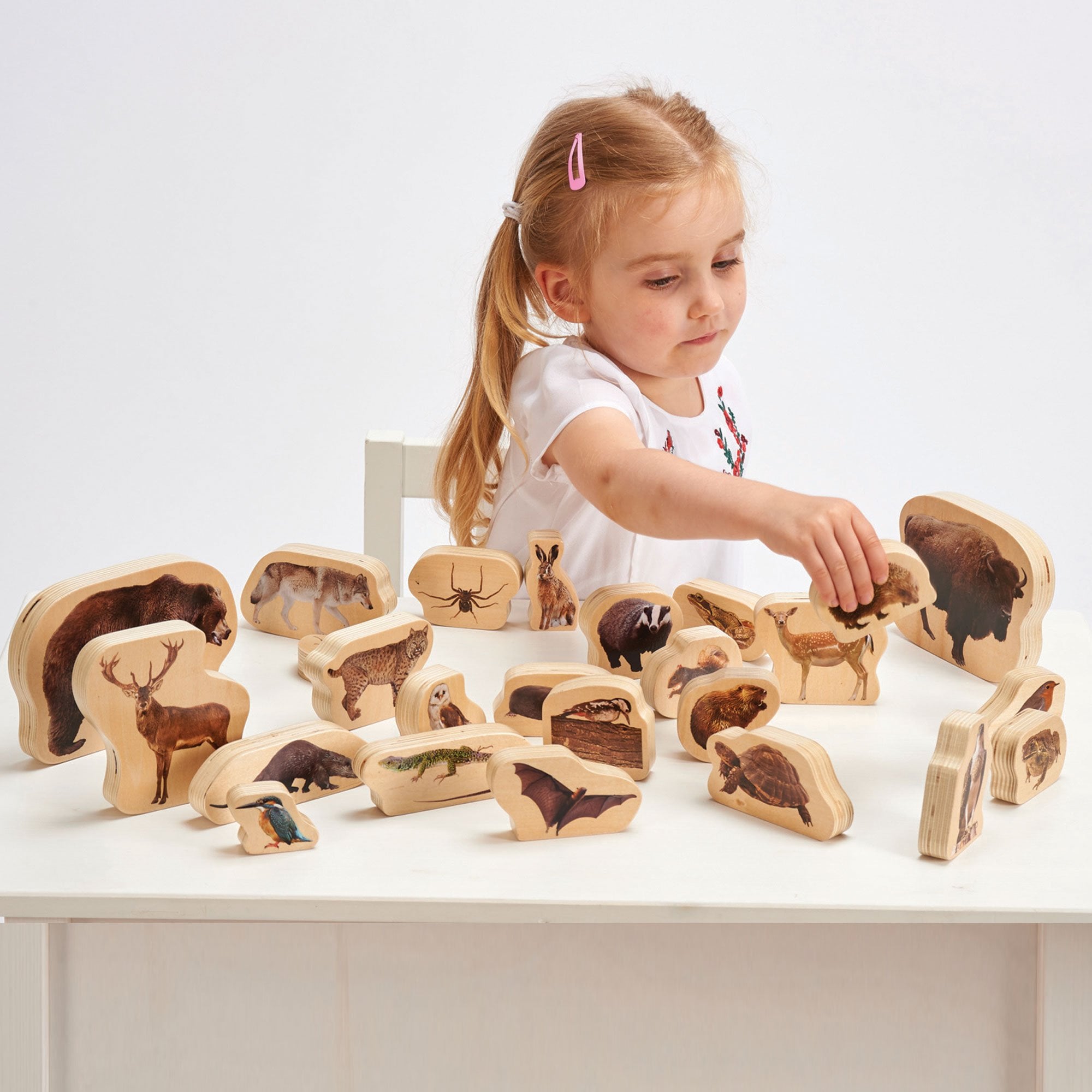 Wooden Forest Animal Blocks | Eduspace Supplies