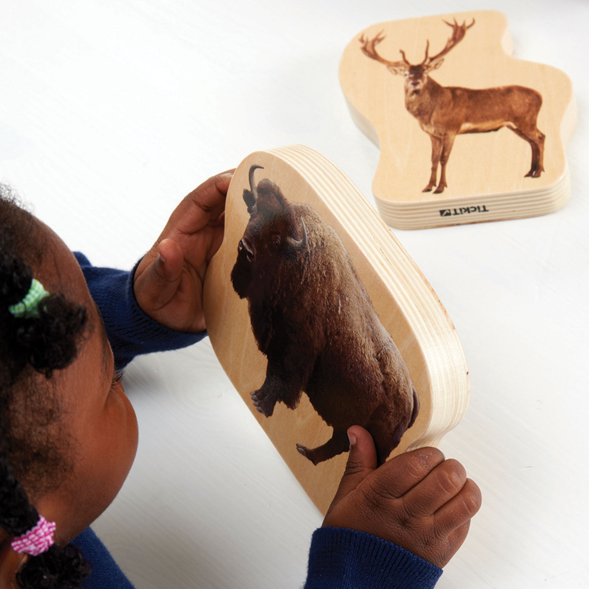 Wooden Forest Animal Blocks | Eduspace Supplies