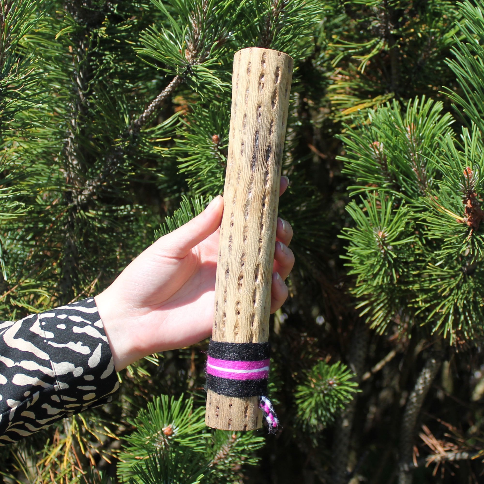 Chilean Cactus Rainstick – Approx 25cm | Eduspace Supplies