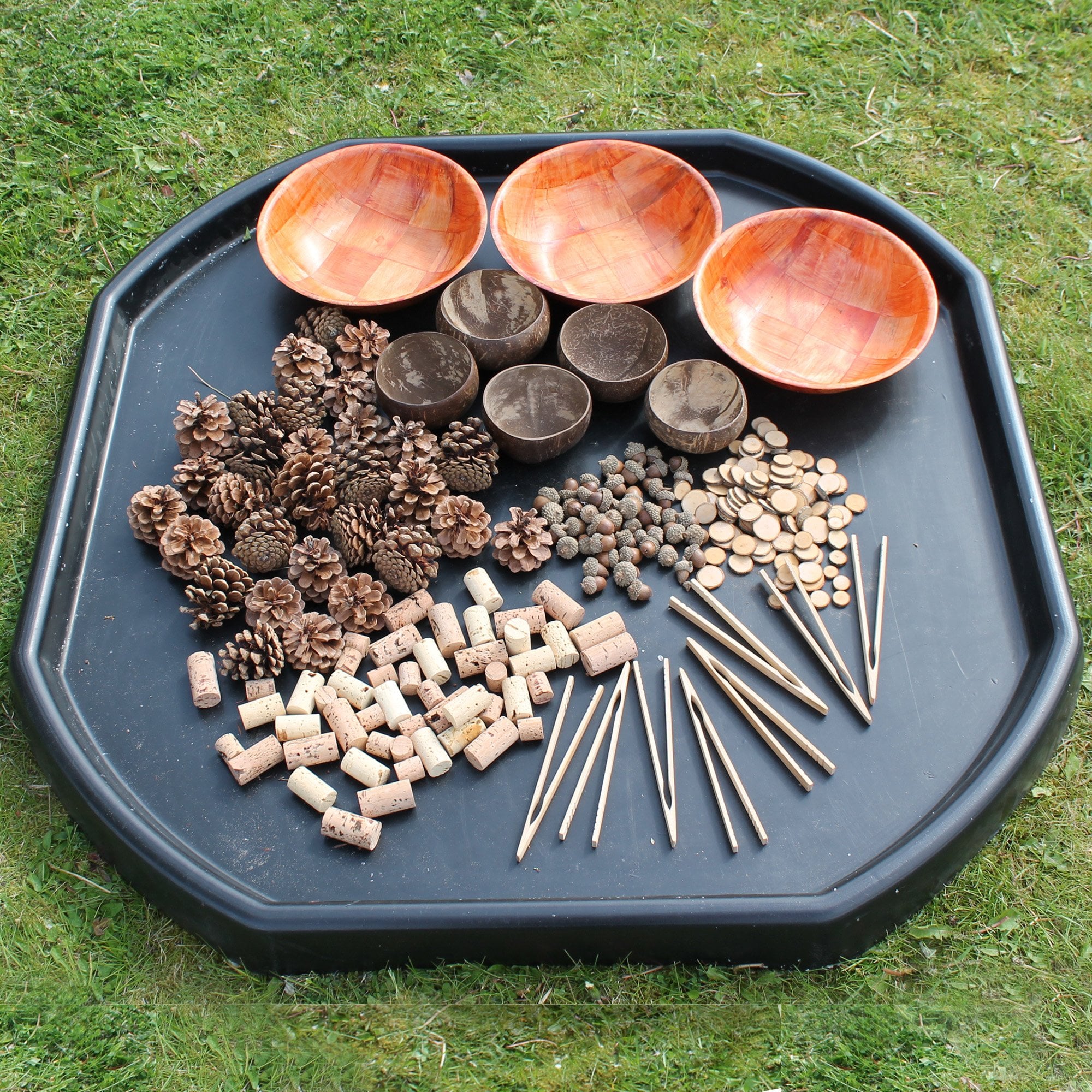 Eco Loose Parts Sorting Set 20pcs | Eduspace Supplies