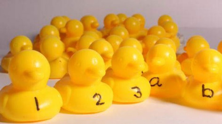 Draw Your Own Rubber Ducks (32Pk) | Eduspace Supplies