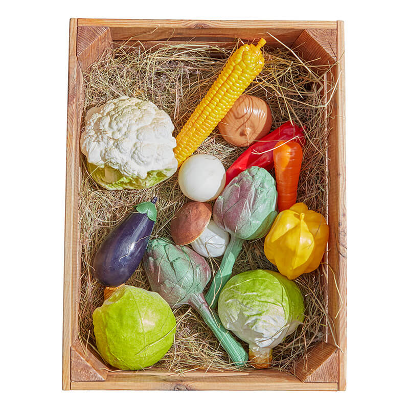 Real Size Vegetables | Eduspace Supplies