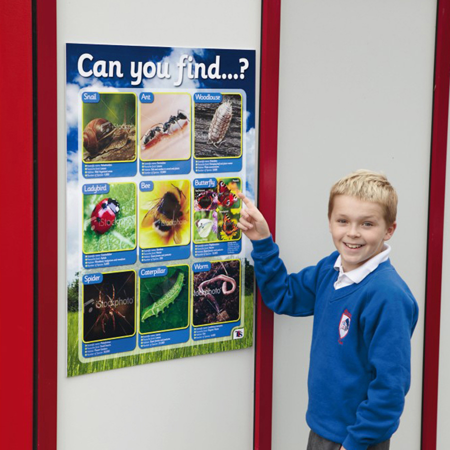 Minibeast Identification Playground Sign | Eduspace Supplies