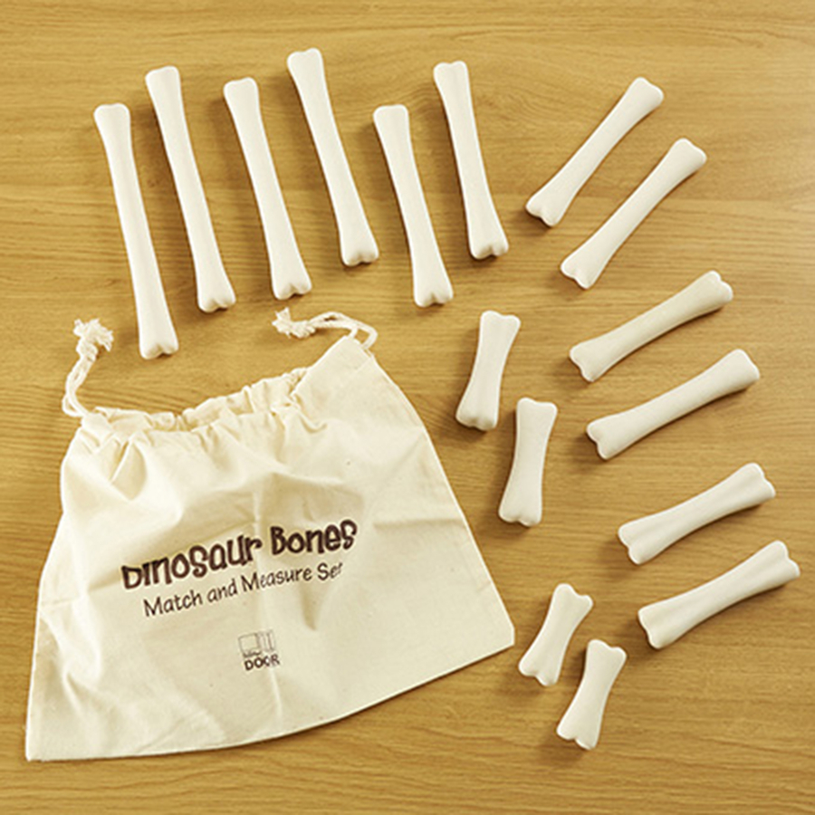 Dinosaur Bones Discovery Count and Size Set | Eduspace Supplies