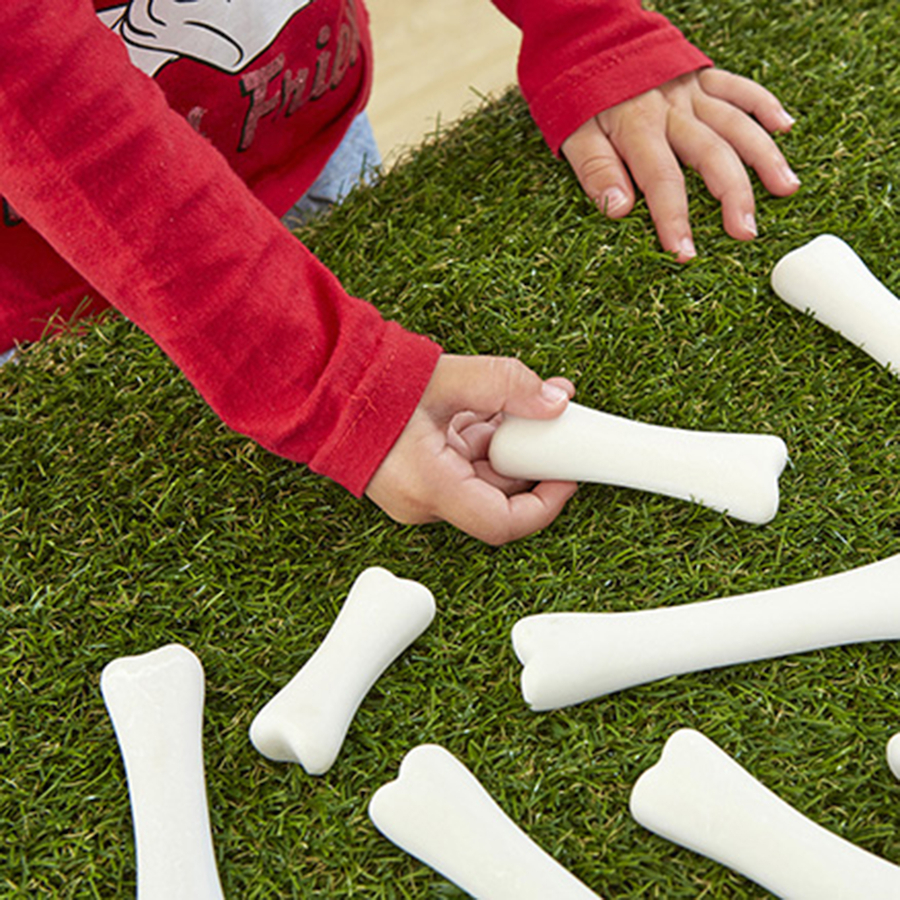 Dinosaur Bones Discovery Count and Size Set | Eduspace Supplies