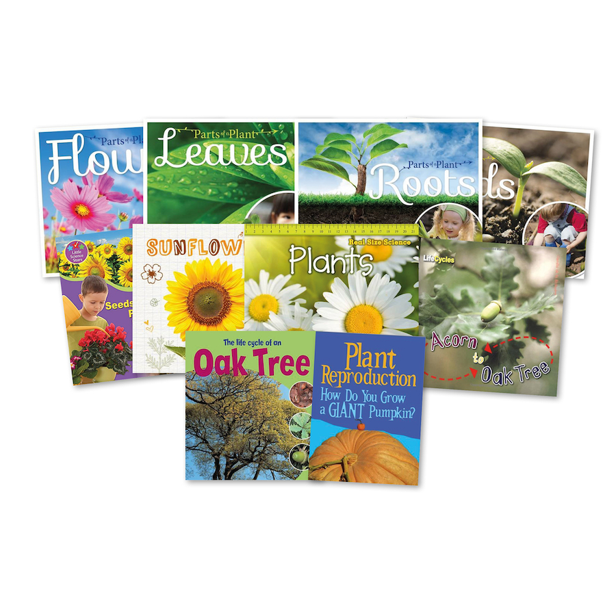 KS1 Plant Life Cycle Books 10pk | Eduspace Supplies