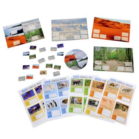 Animal Habitats Sorting Game | Eduspace Supplies