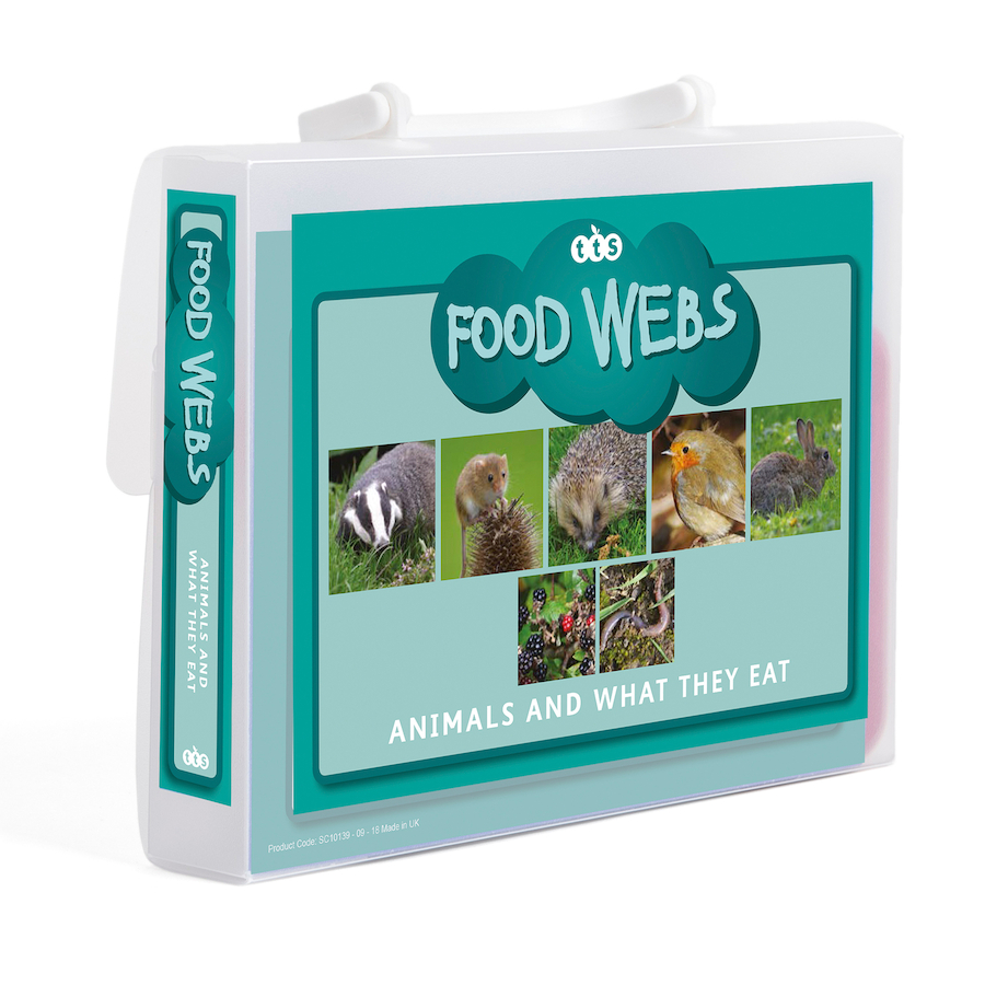 Food Web – Activity Cards | Eduspace Supplies
