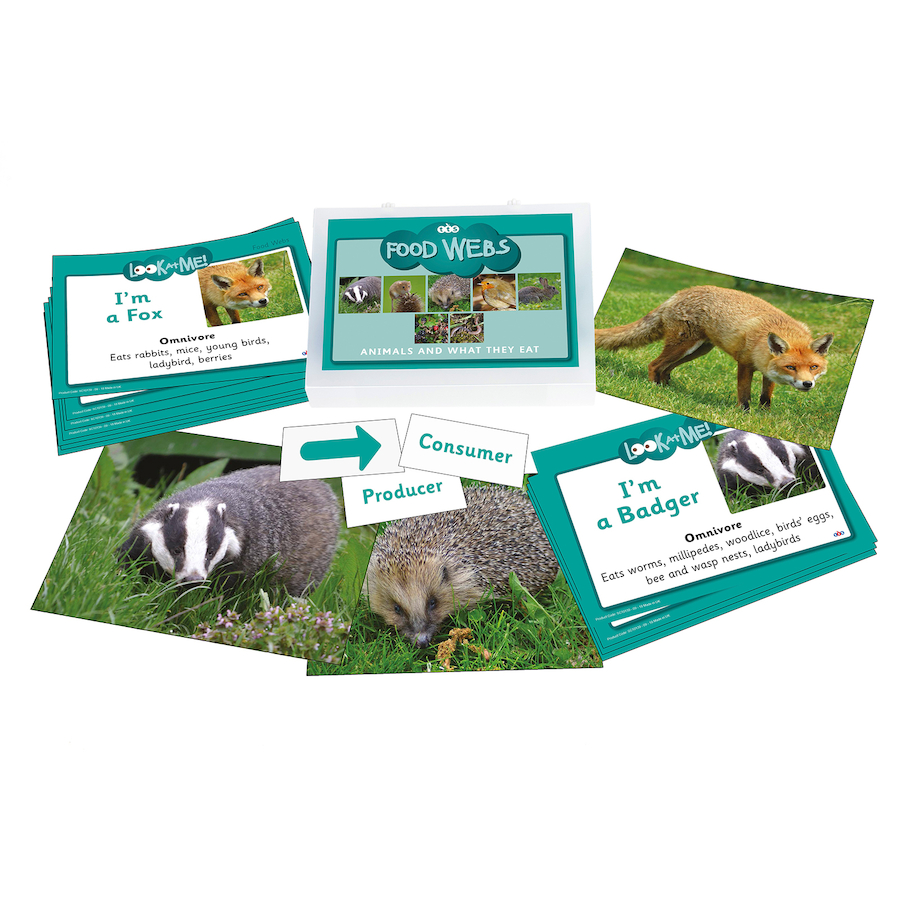Food Web – Activity Cards | Eduspace Supplies