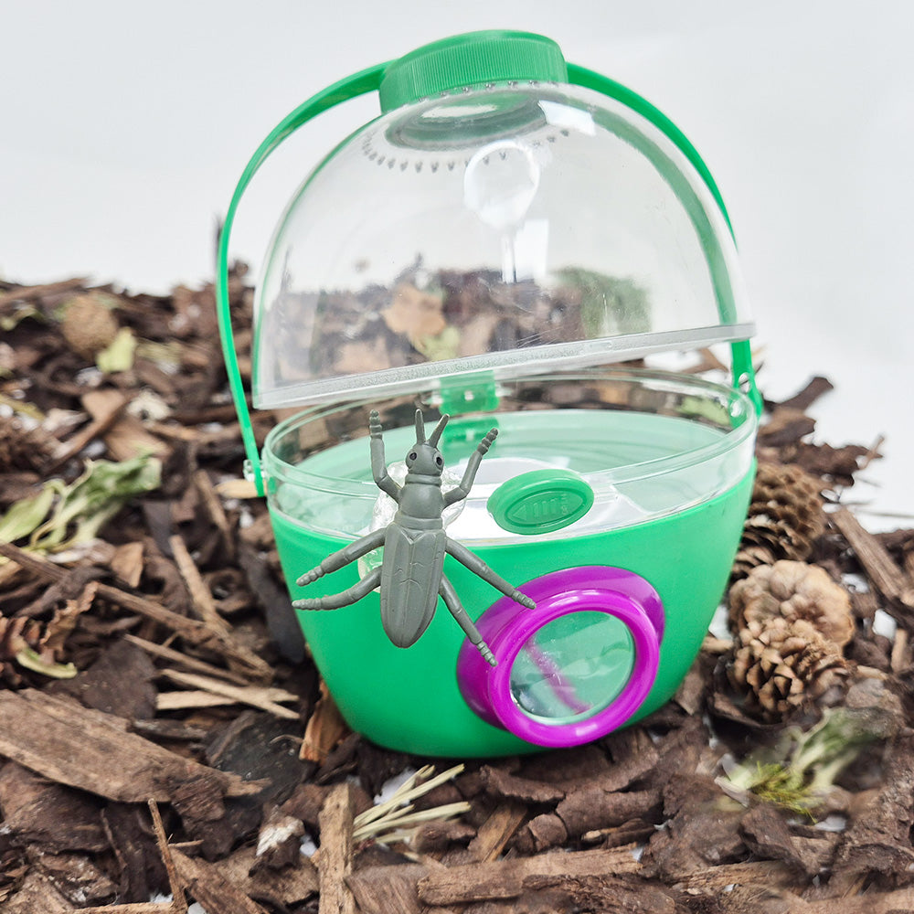 Forest Schools – Urban School Kit | Eduspace Supplies